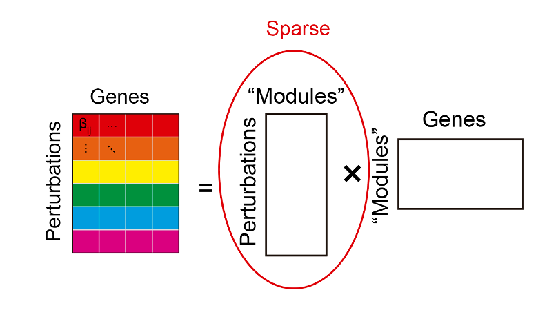 Summary of "Scalable genetic screening for regulatory circuits using compressed Perturb-seq ...